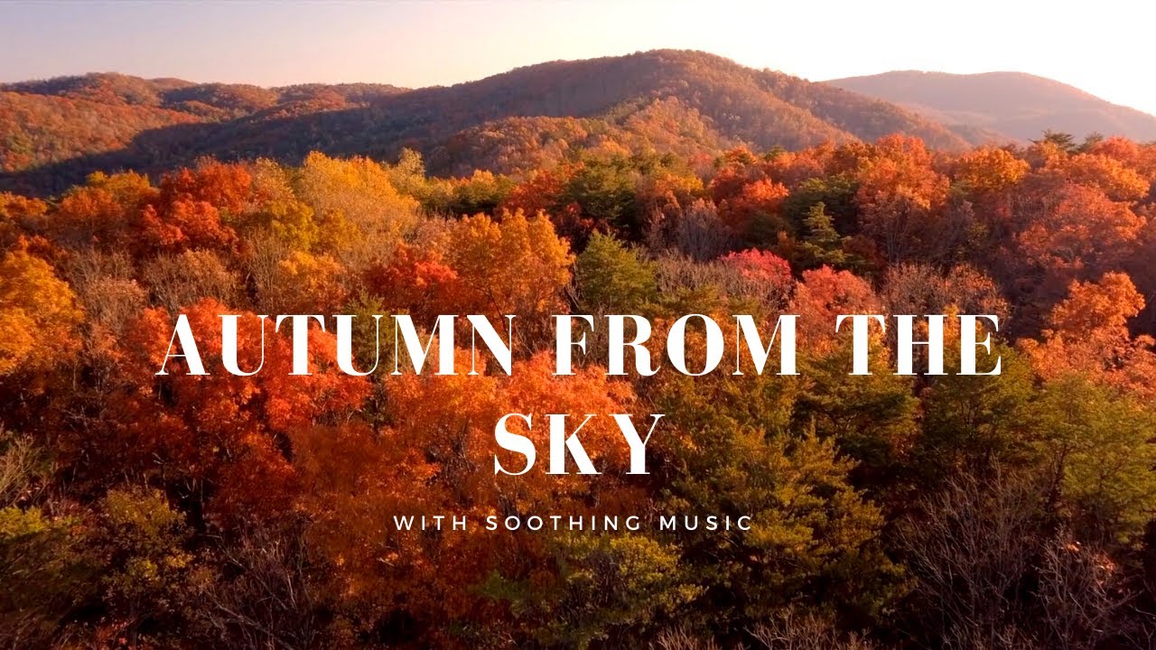 Aerial Peak Autumn Foliage Worldwide | Relaxing Music with Beautiful ...