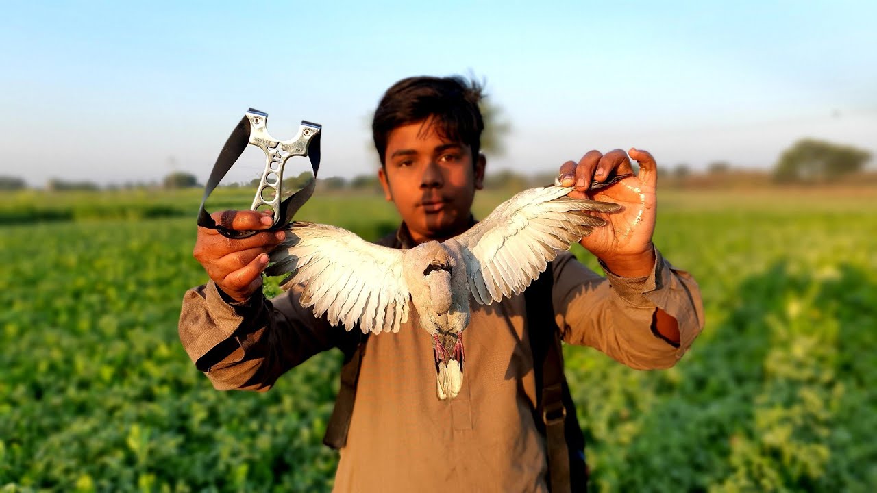 Birds Hunting with Unique Skills - YouTube