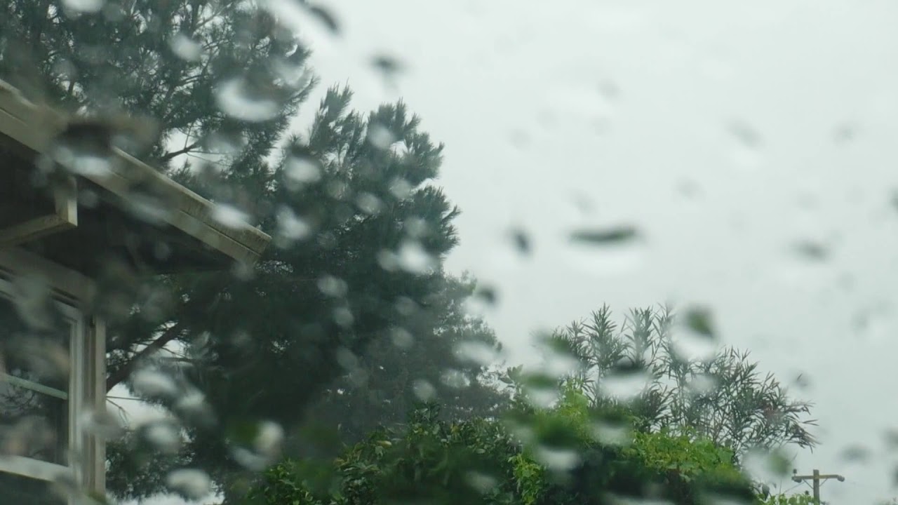 A Rainy Late March Day in Napa CA ( 3-26-2017 ) - YouTube
