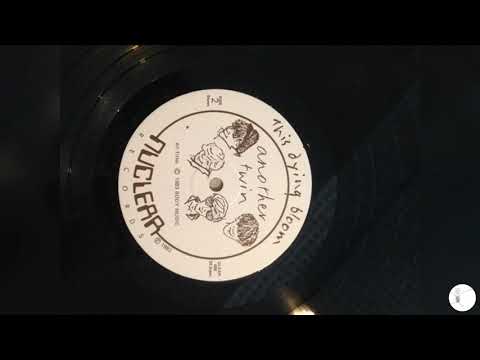 Another Twin – This Dying Bloom – Vinyl (LP, Album, Stereo), 1983 ...