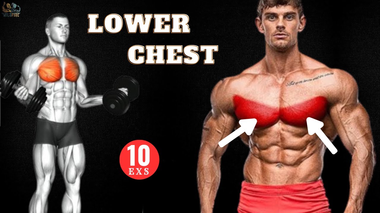 10 World's Best Lower Chest Workout Exercises Gym -- Wild Fire Fitness ...