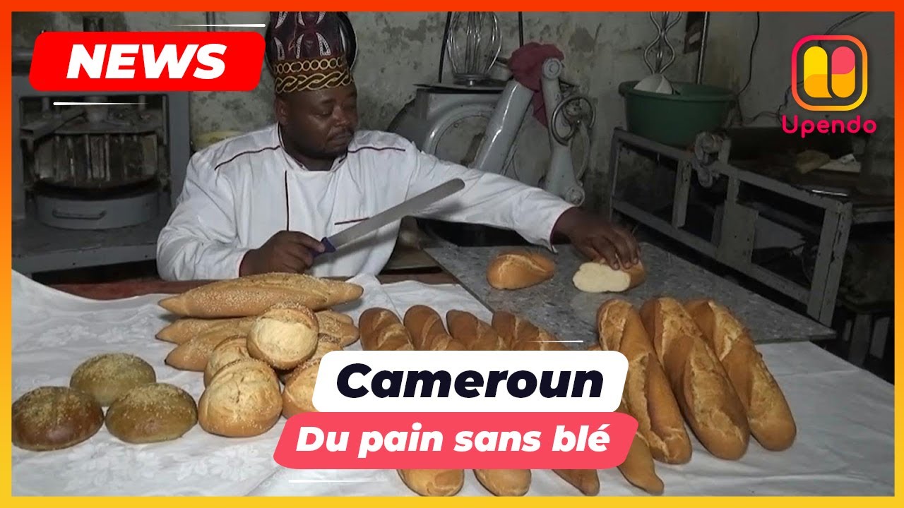 Cameroun : du pain sans blé, le pari gagnant d'un boulanger de Yaoundé ...