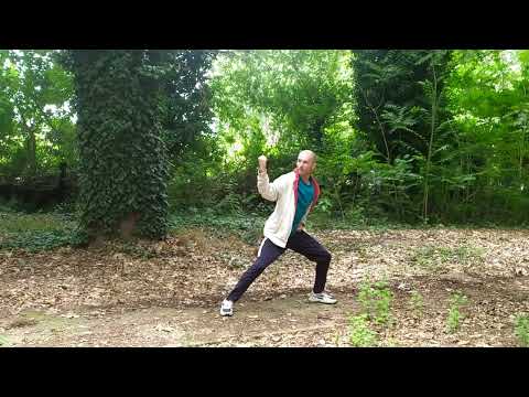Wu shu kwan kung fu by Sonic lee Lo han shou  self techniques -fix paring