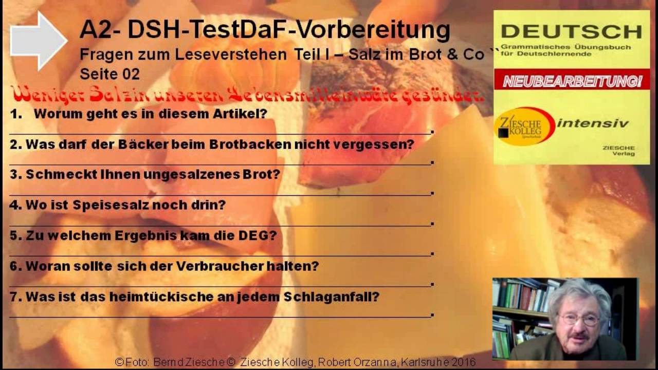 A2 DSH u TestDAF Vorber Fragen zum Leseverstehen Teil I Überall Salz ...