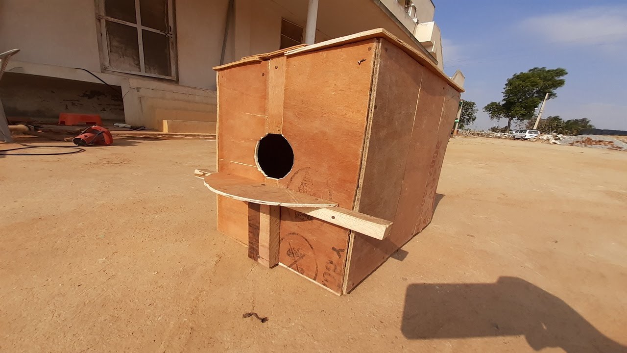 Hanging ROYAL BIRD Nestling BOX | With Multiple Camera Stand | Bird box ...