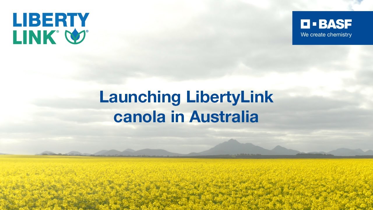 Our LibertyLink story - YouTube