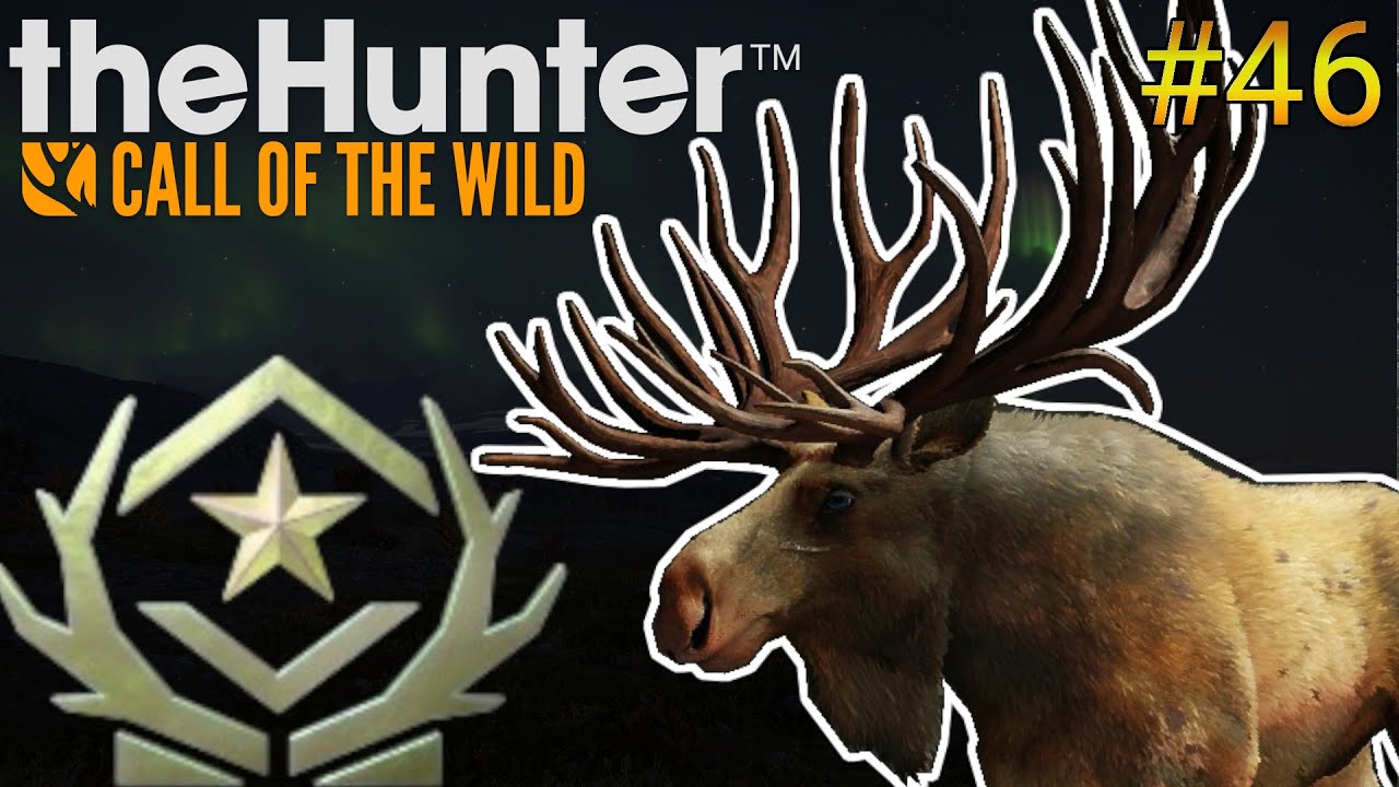 theHunter: COTW Folge 46 Der erste Great One Elch - YouTube