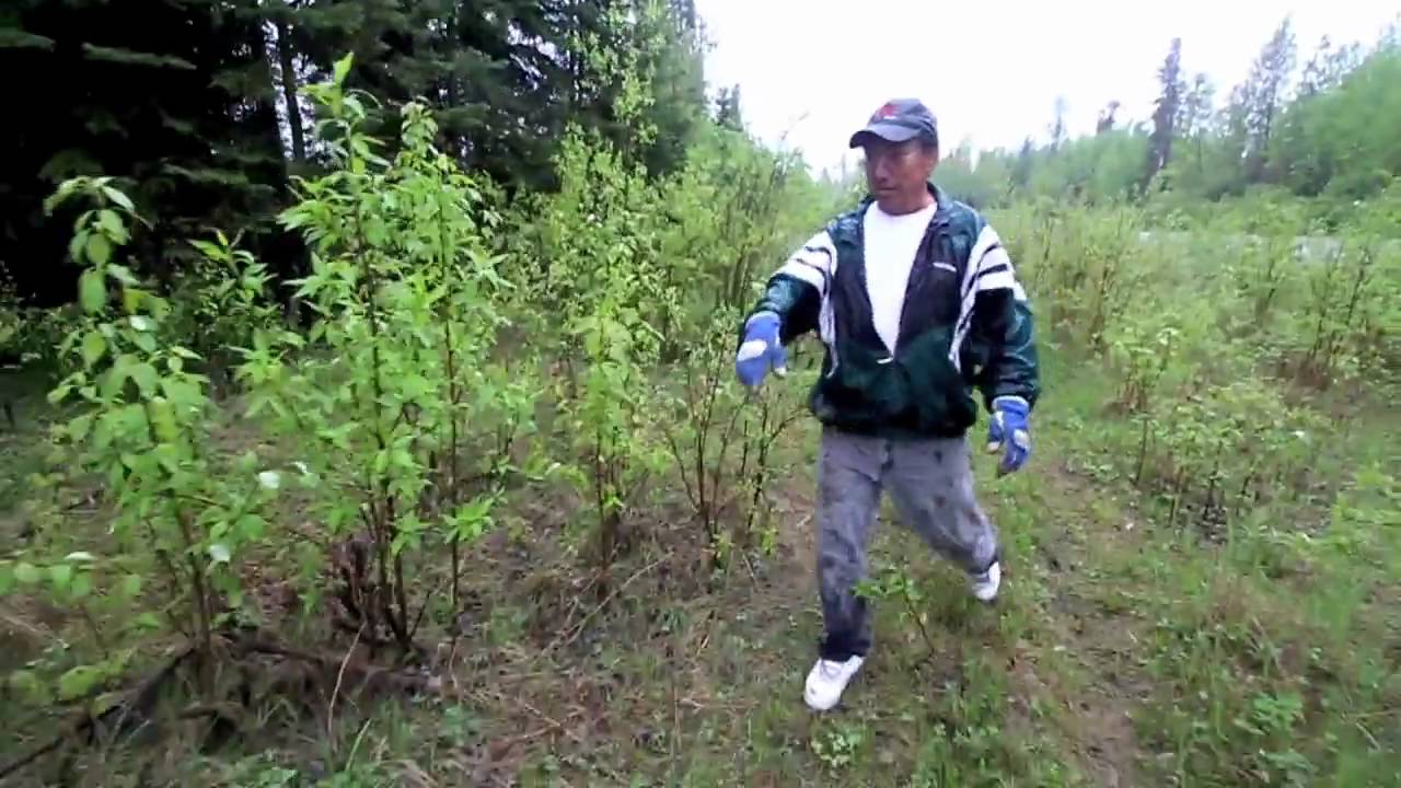 Mystery sounds unsettling to Sunchild Reserve residents - YouTube