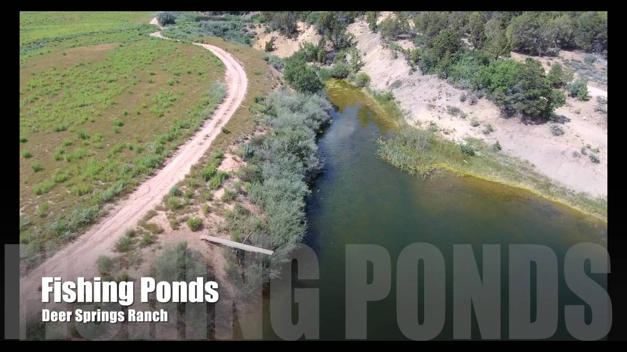 Deer Springs Ranch 2016 - YouTube