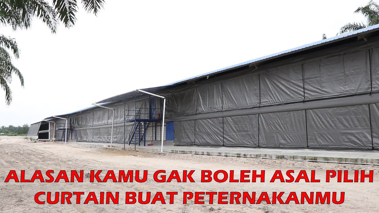 Komponen Penting ini Sering Terlupakan Para Peternak Closed House - YouTube