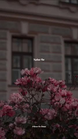 Jahan pyar se ham anjan the💕 - YouTube