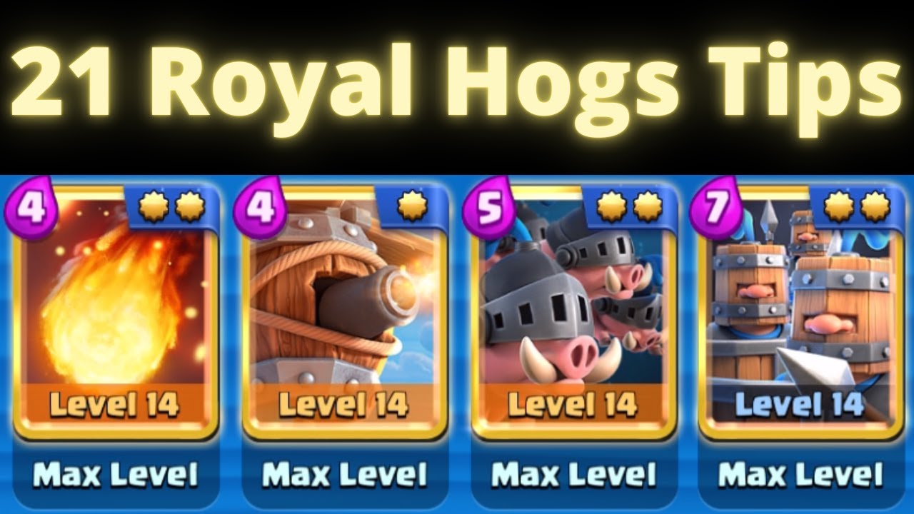 *IN DEPTH GUIDE* for Royal Hogs Royal Recruits! - How to Play Royal ...