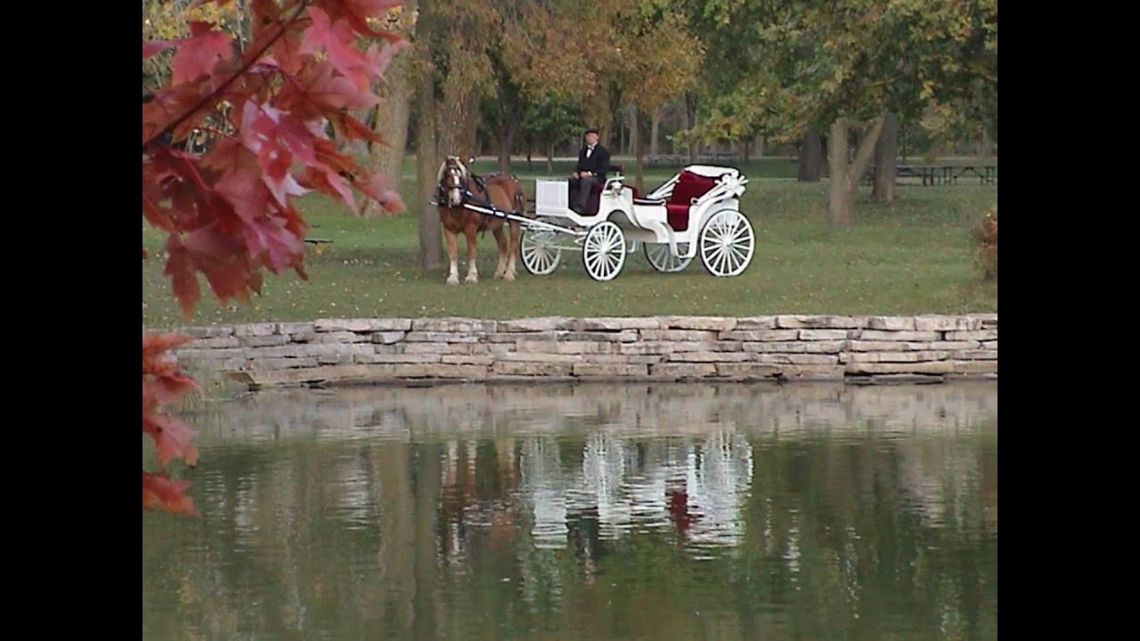 Dream Coach Carriages - Weddings - An Elegant Horse Drawn Carriage ...