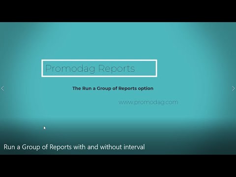 The Run a Group of Reports options of Promodag Reports - YouTube