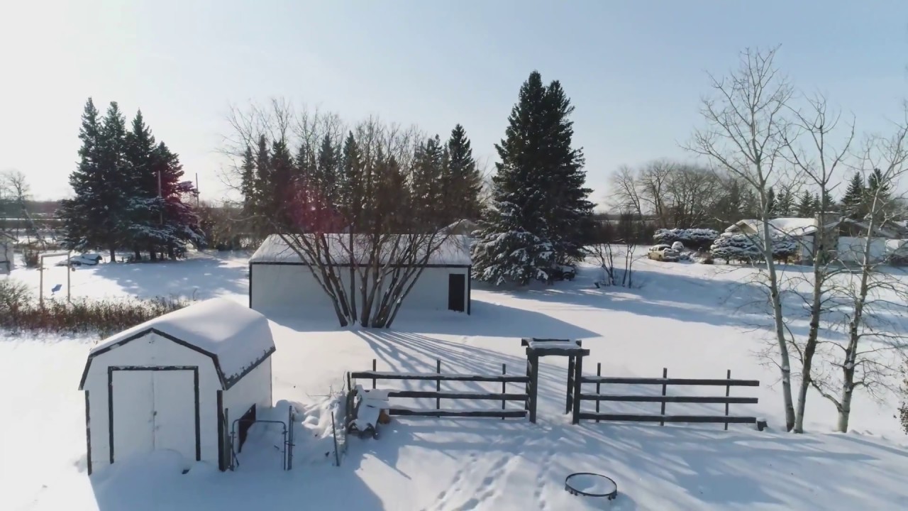 Theodore Saskatchewan - YouTube