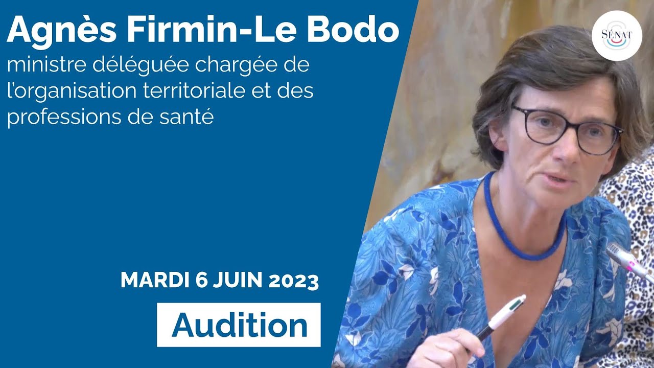Fin de vie : audition d'Agnès Firmin-Le Bodo - YouTube