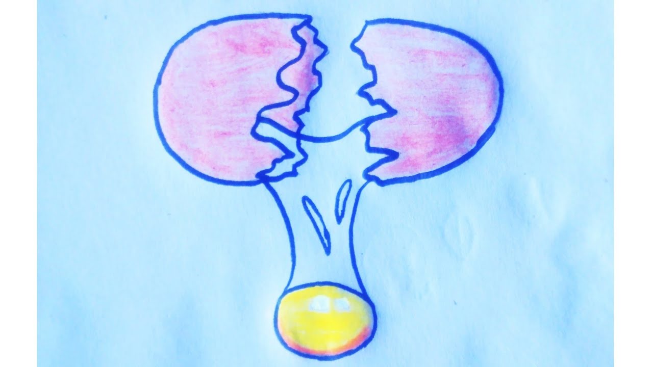 How to draw broken egg.|Easy Egg drawing| step by step. - YouTube