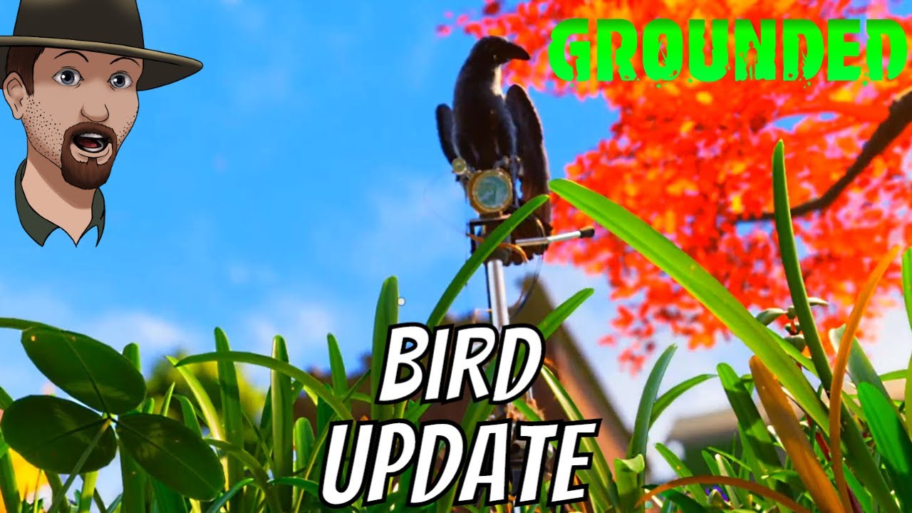 Bird Update and Burgle Questing- Grounded Multiplayer Ep.#15 - YouTube