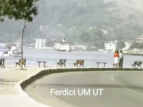 Ferdi Tayfur  Seni Dilendim Kısa