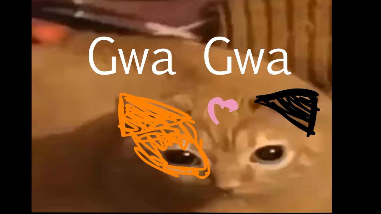 Gwa Gwa - YouTube