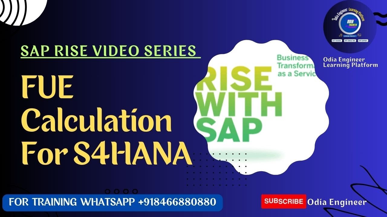 FUE Calculation in SAP RISE ( S4HANA License Calculation) | SAPBASIS ...