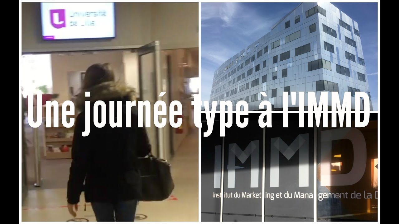Journée immersion à l'IMMD - YouTube