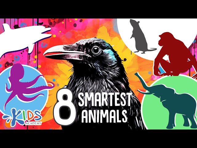 8 Smartest Animals in the World. Learn Animals for Kids - Kids Academy ...