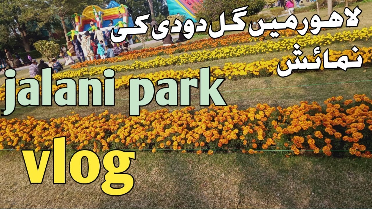 Gul-E-Daudi flowers exhibition in Jilani park(Race course park)Abia ...
