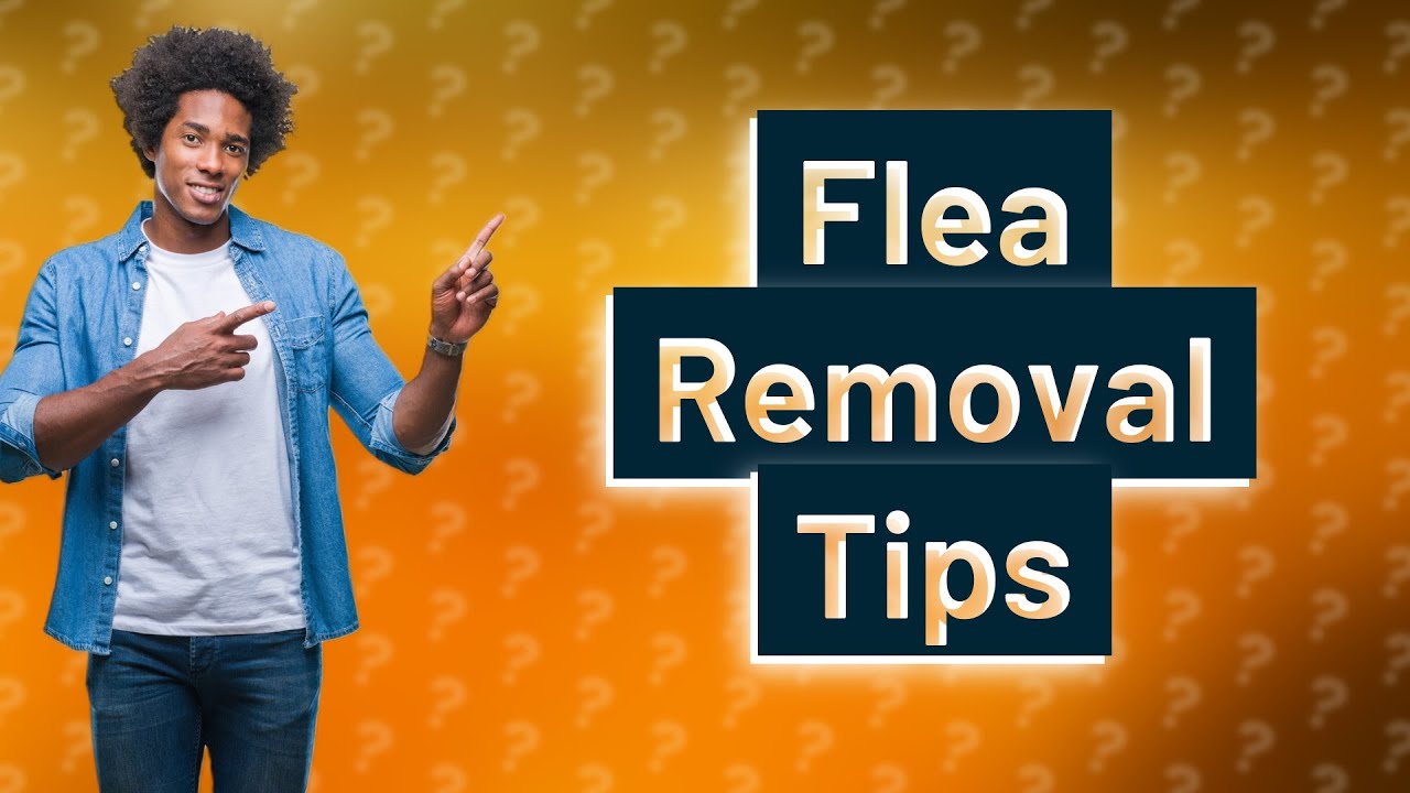 How to get rid of fleas on humans fast? - YouTube