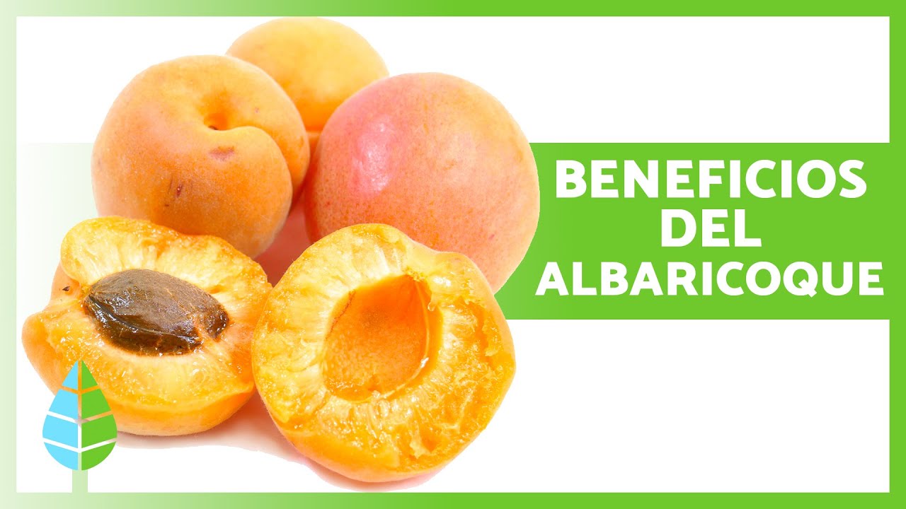 10 Increíbles BENEFICIOS del ALBARICOQUE 🍑 (Propiedades Medicinales y ...