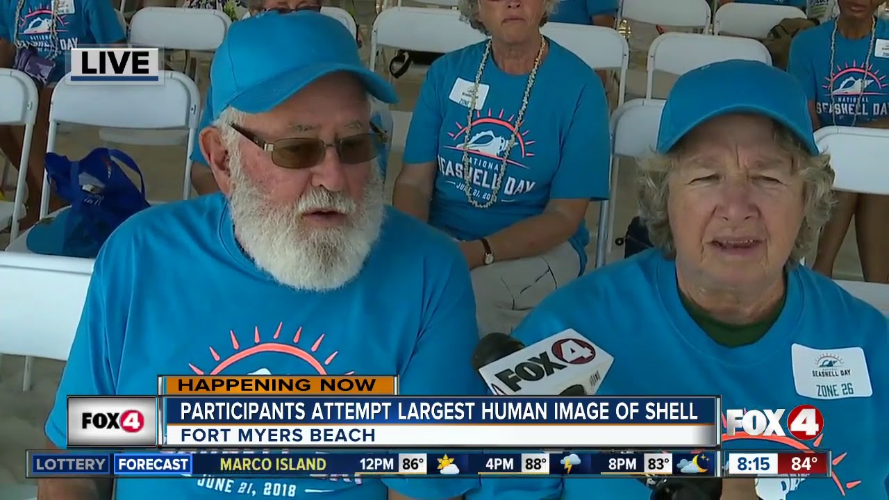 National Sea shell Day on Fort Myers Beach - YouTube