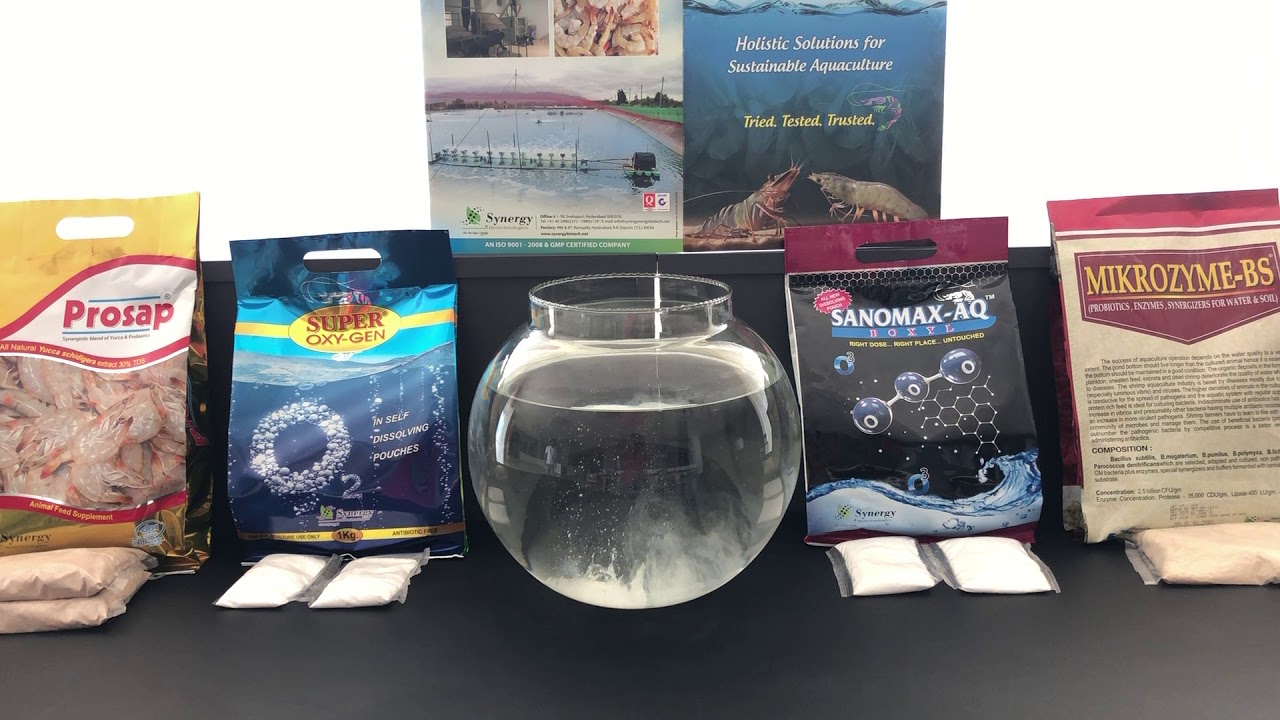 Synergy Biotechnologies -Self Dissolving Pouch - YouTube
