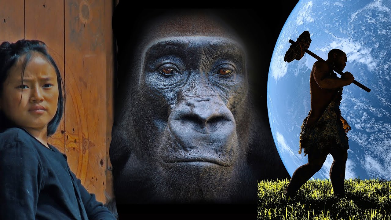 4K | Biosphere Remastered 2016 - Broadcast Version (New Unreleased ...