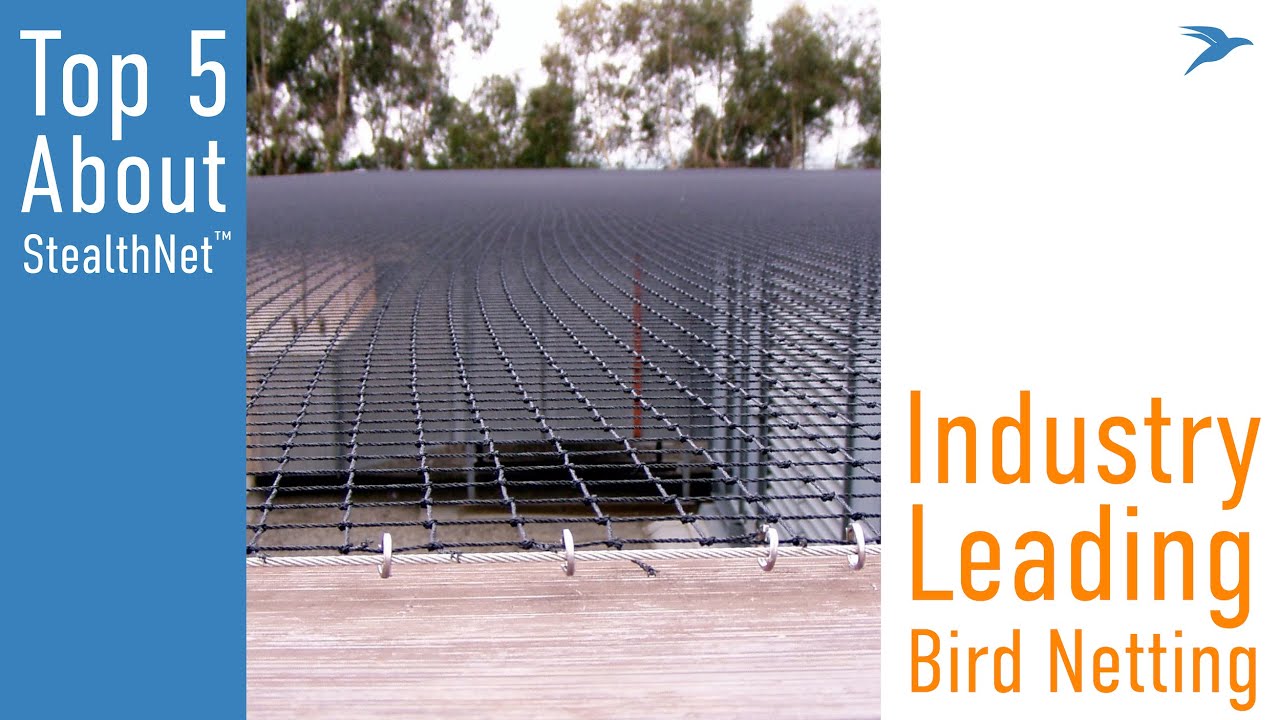 5 Things to Know About StealthNet® - YouTube