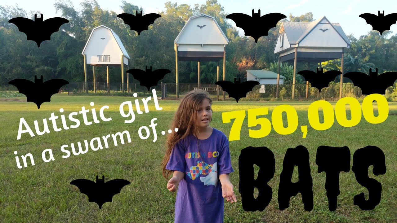 Autism & 750,000 Bats swarming around Autistic Girl - YouTube