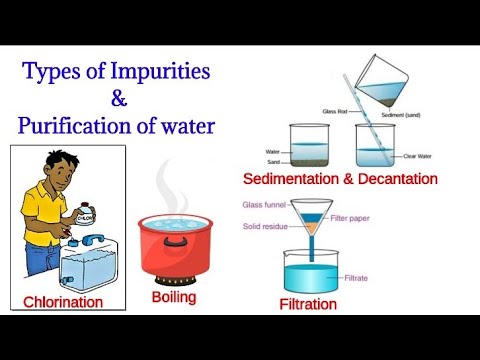 Purification of water l Soluble and insoluble impurities l Rinki Kumari ...
