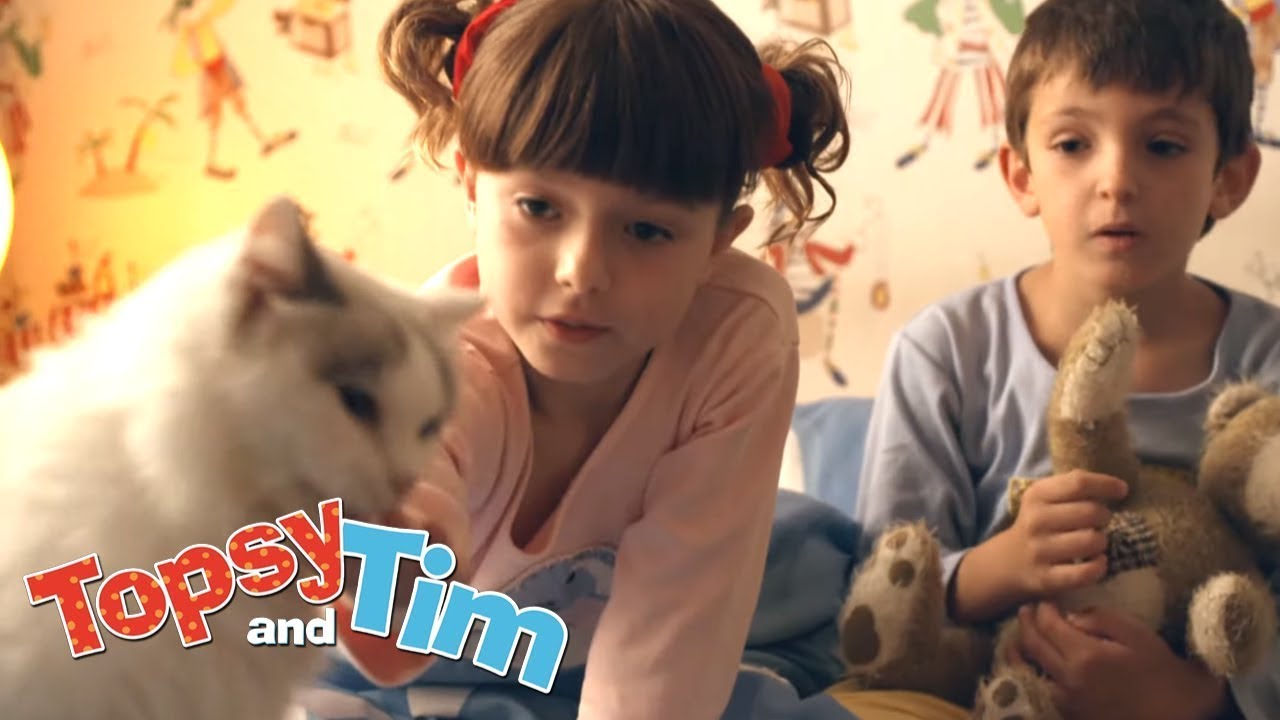Lost cat & Indoor tent | Topsy and Tim | Cartoons for Kids | WildBrain ...