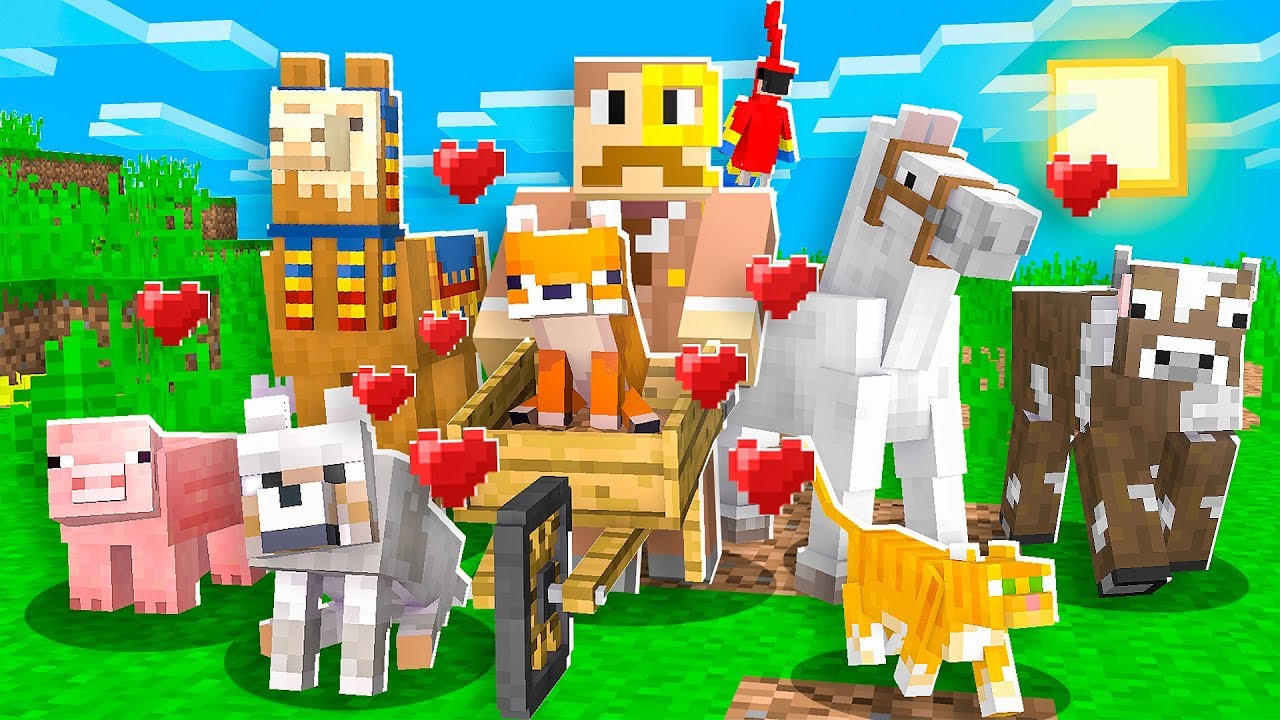 TAMING Every PET On The SERVER! (Camp Minecraft) - YouTube