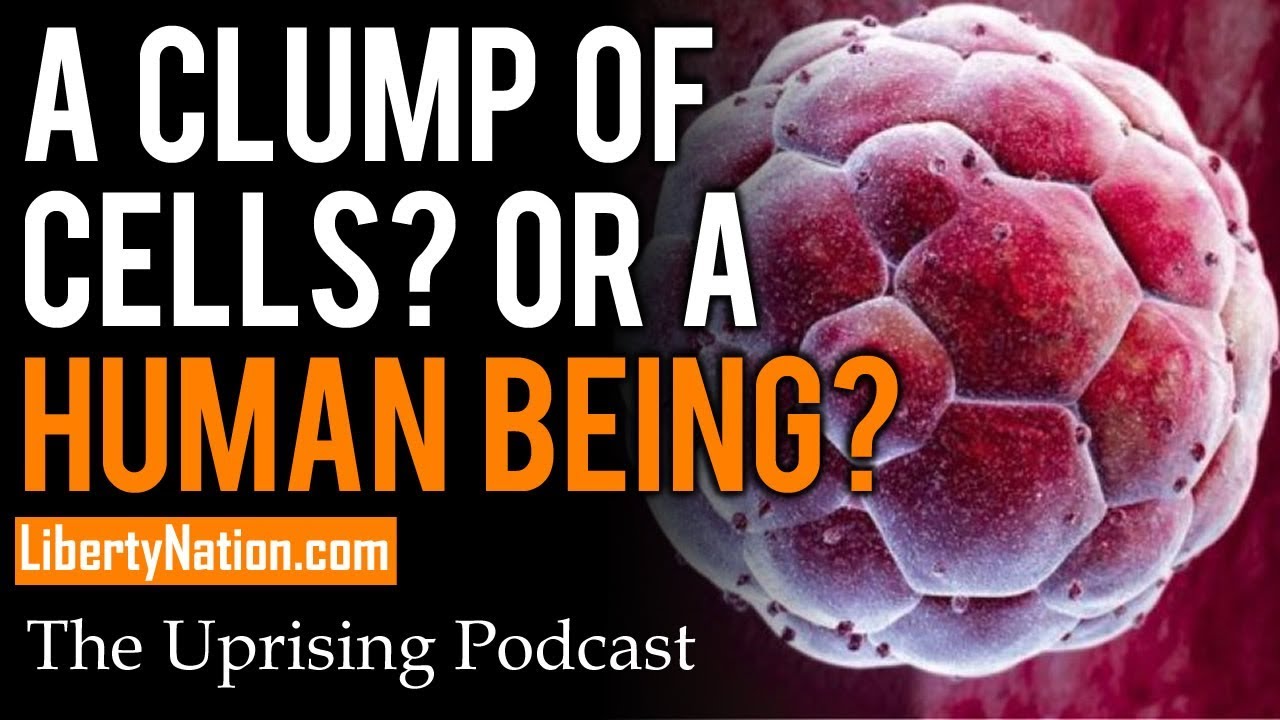 A Clump Of Cells? Or A Human Being? - YouTube