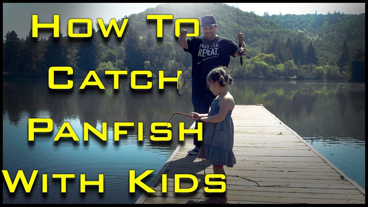 How to Catch Panfish Tips for Catching Fish in Numbers Good Kid Fishing ...