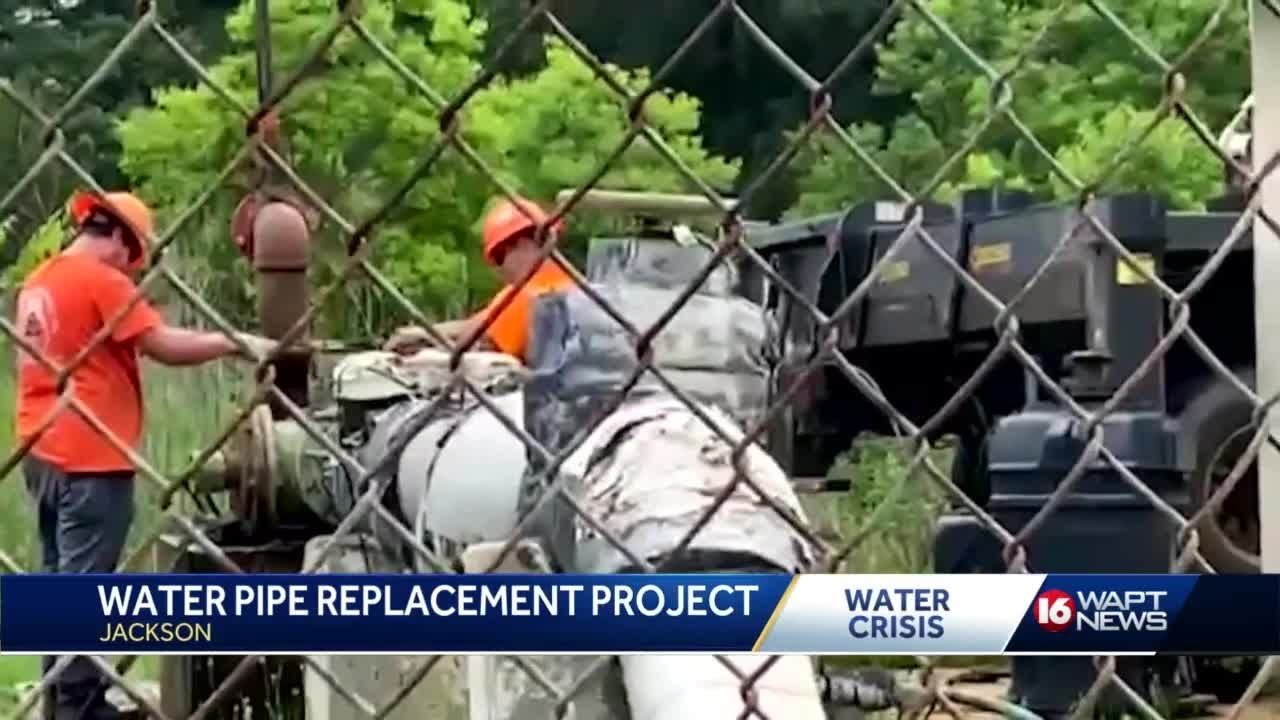 Water Plant Replacement - YouTube