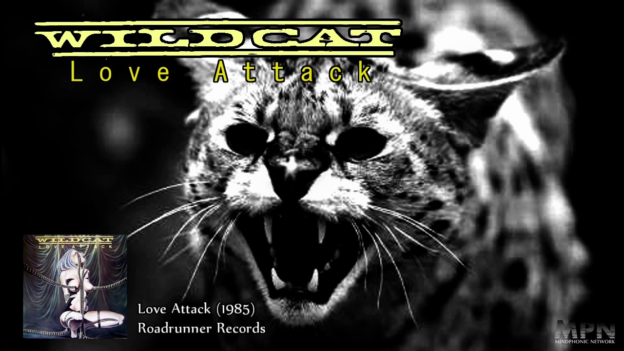 Wild Cat - Love Attack [Full / Vinyl Rip / Remaster] - YouTube