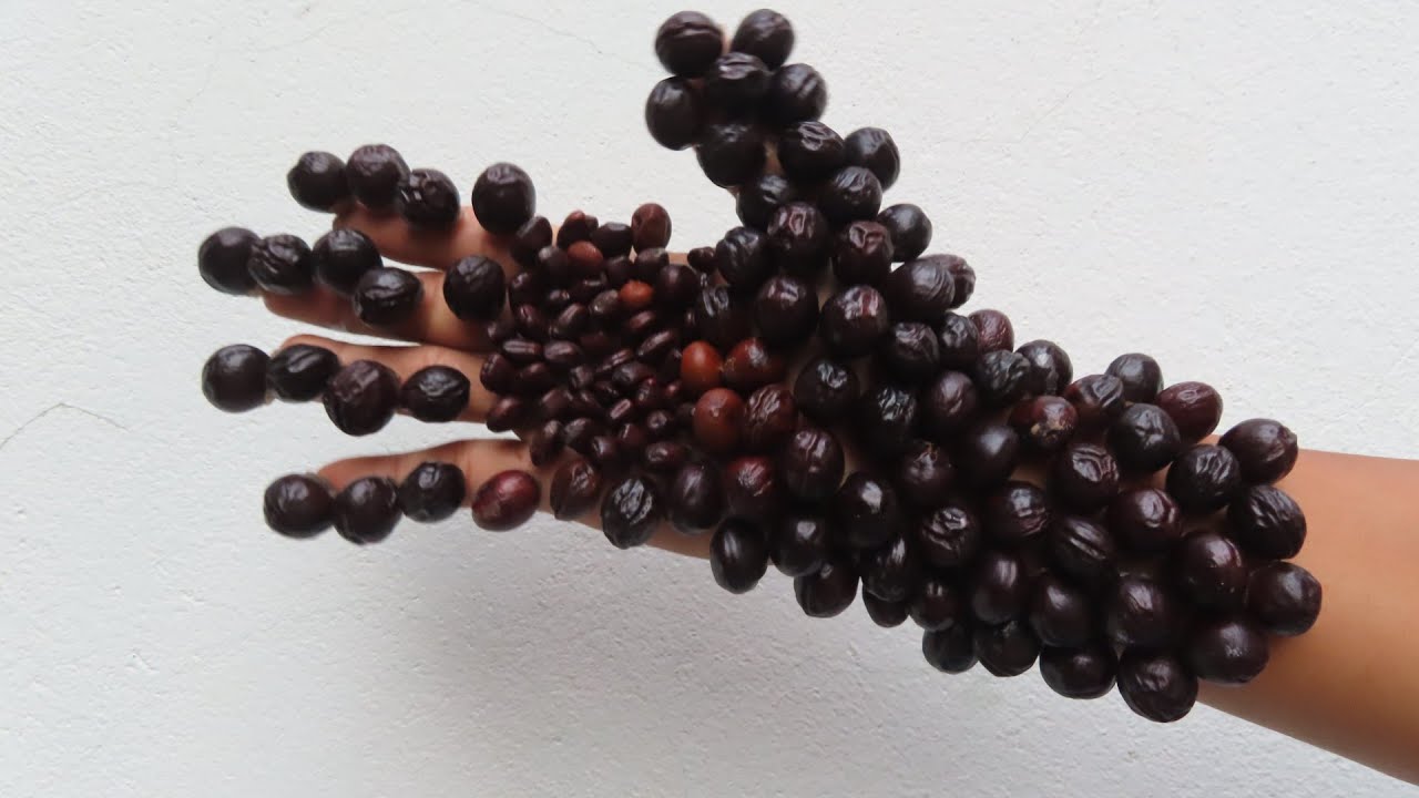 Super removing giant ticks style human on hand | Designed from fruit ...