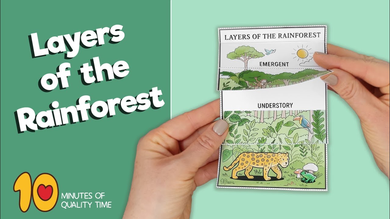 Layers of the Rainforest Flipbook Craft - YouTube