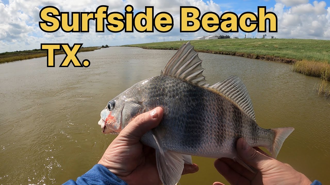 Fishing all over Surfside Beach Texas Redfish, Black Drum, Hardheads ...