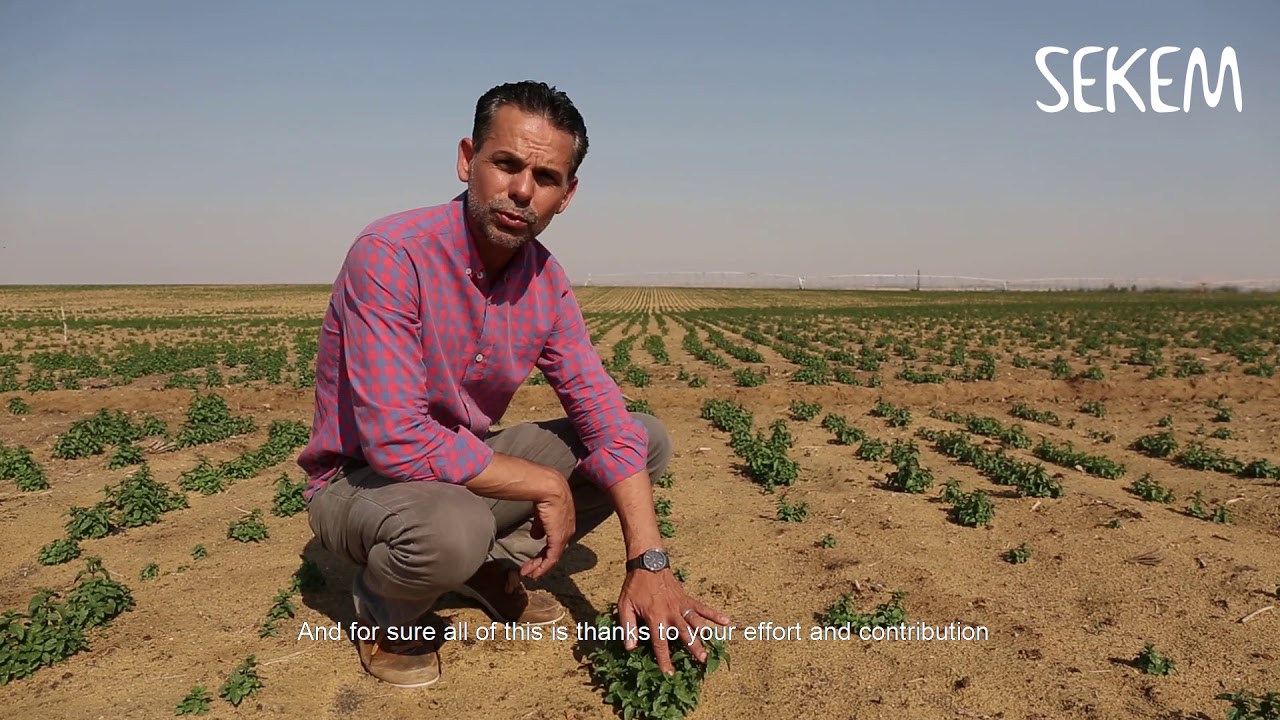 SEKEM GREENING THE DESERT 2019 Update #3 - YouTube