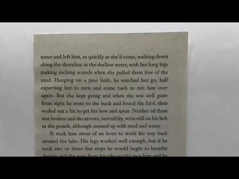 Hatchet chapter 16 - YouTube