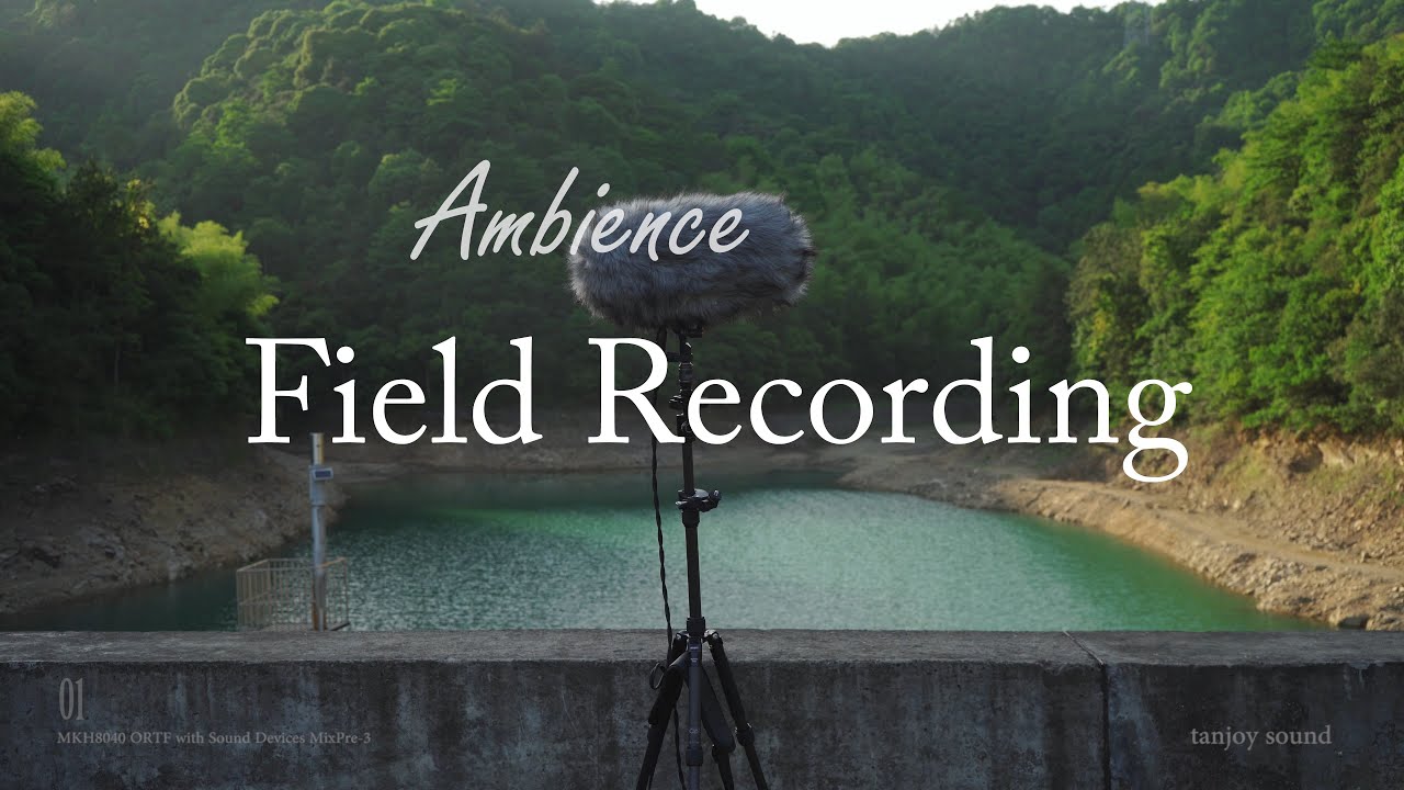 Field Recording Spring Forest Ambience - YouTube
