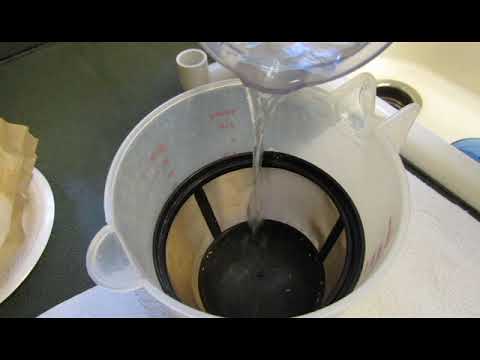 Washing Monarch Eggs | How to Do it Right - YouTube