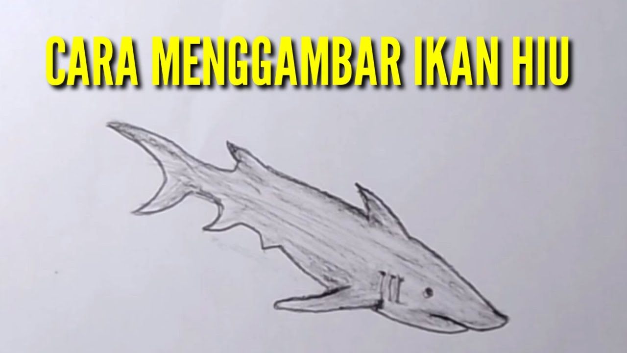 CARA MUDAH MENGGAMBAR IKAN HIU ( untuk pemula ) - YouTube